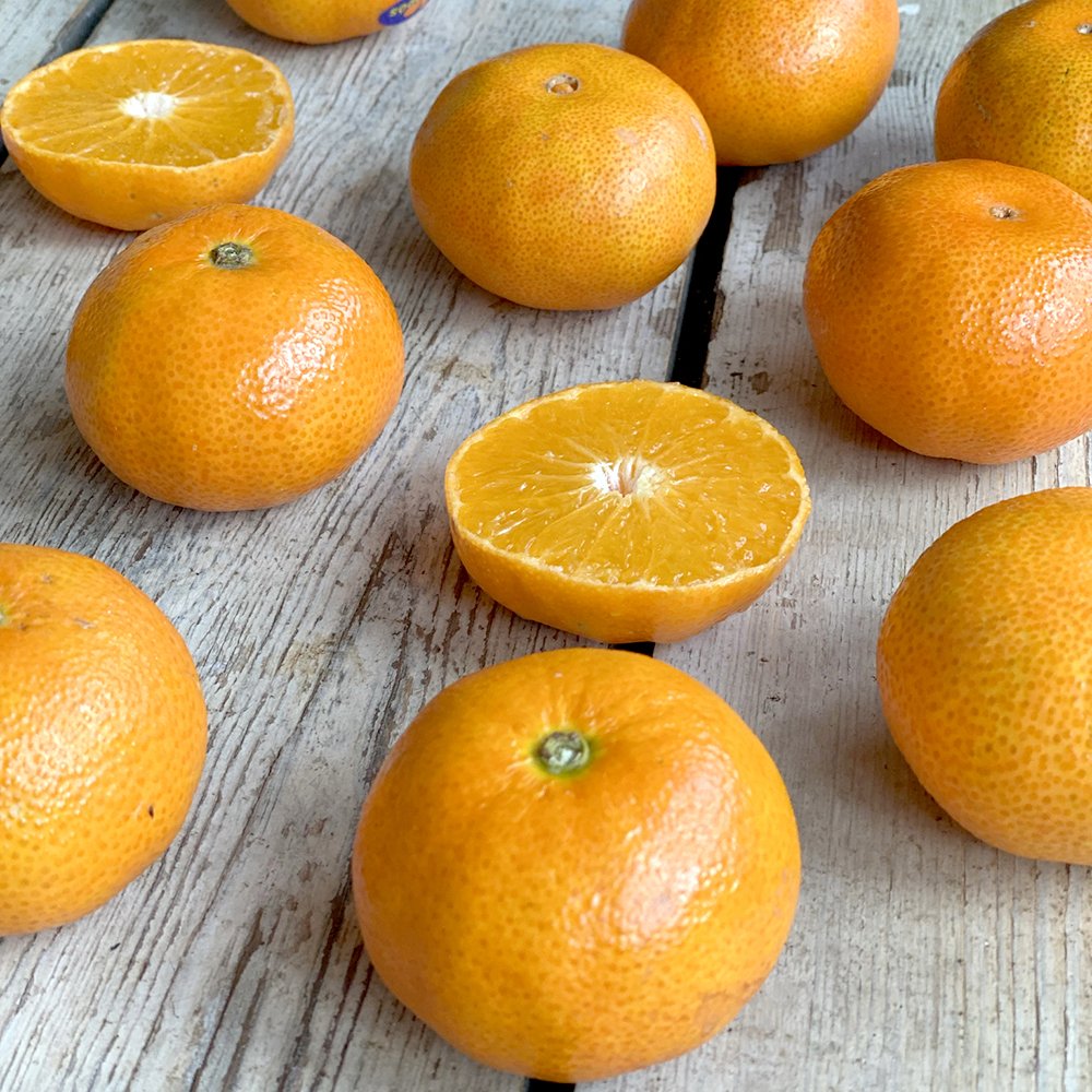 Clementiner 90 STK Nadorcot - Citrus - Rosengaard