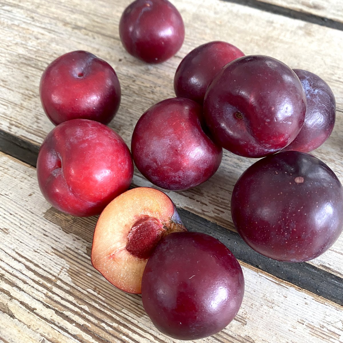 Blommer 66 stk SP ØKO / dags pris - Øko - Rosengaard