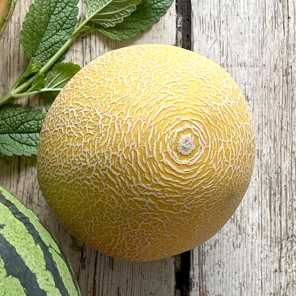 Meloner Galia 6 stk/5 kg SP ØKO / dagspris - Øko - Rosengaard