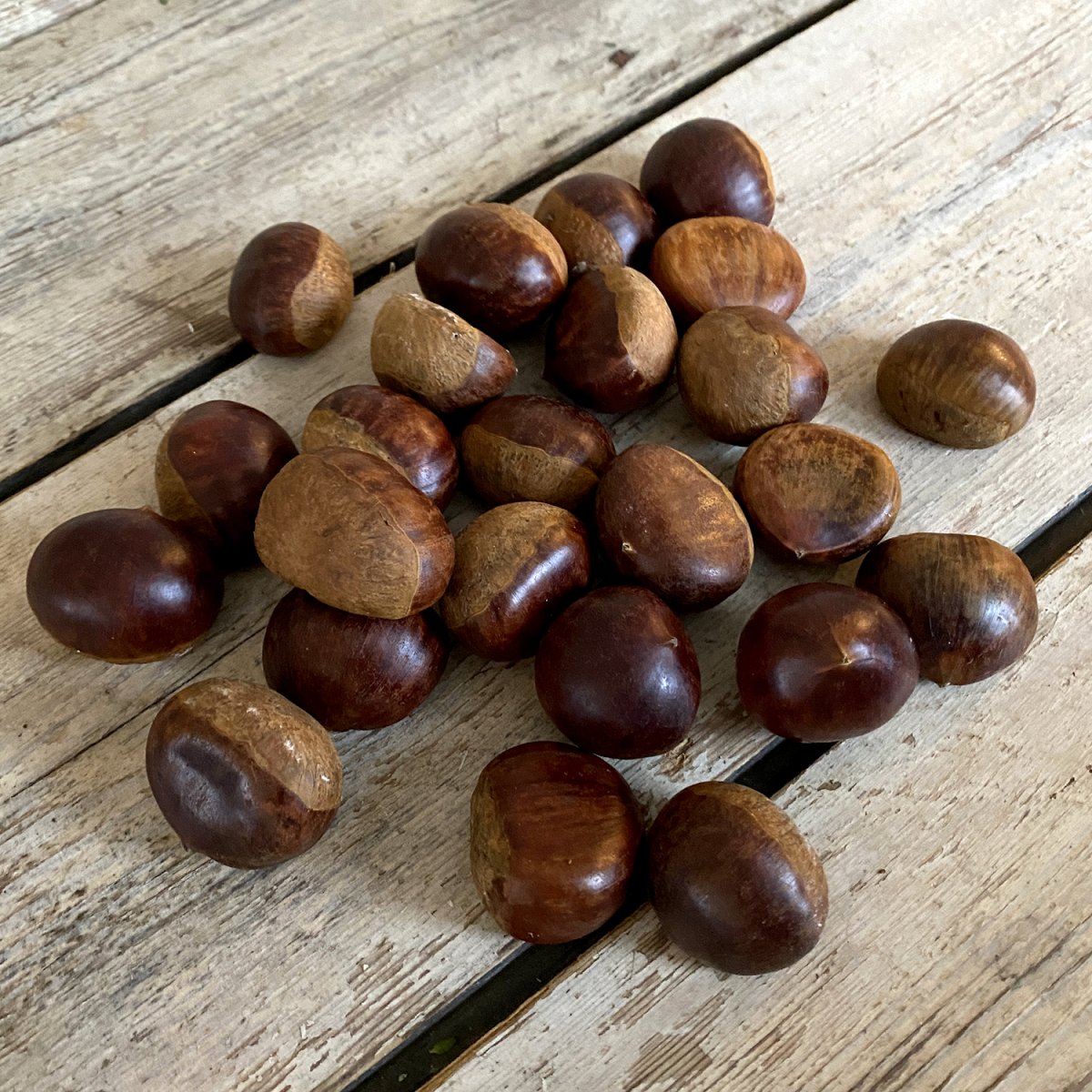 Kastanjer 5 kg. Fr. - Nødder - Rosengaard