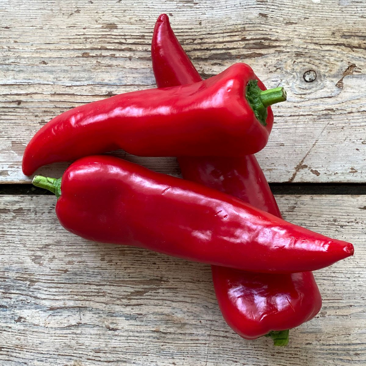 Peber rød SNACK Tyr. - Peber - Rosengaard