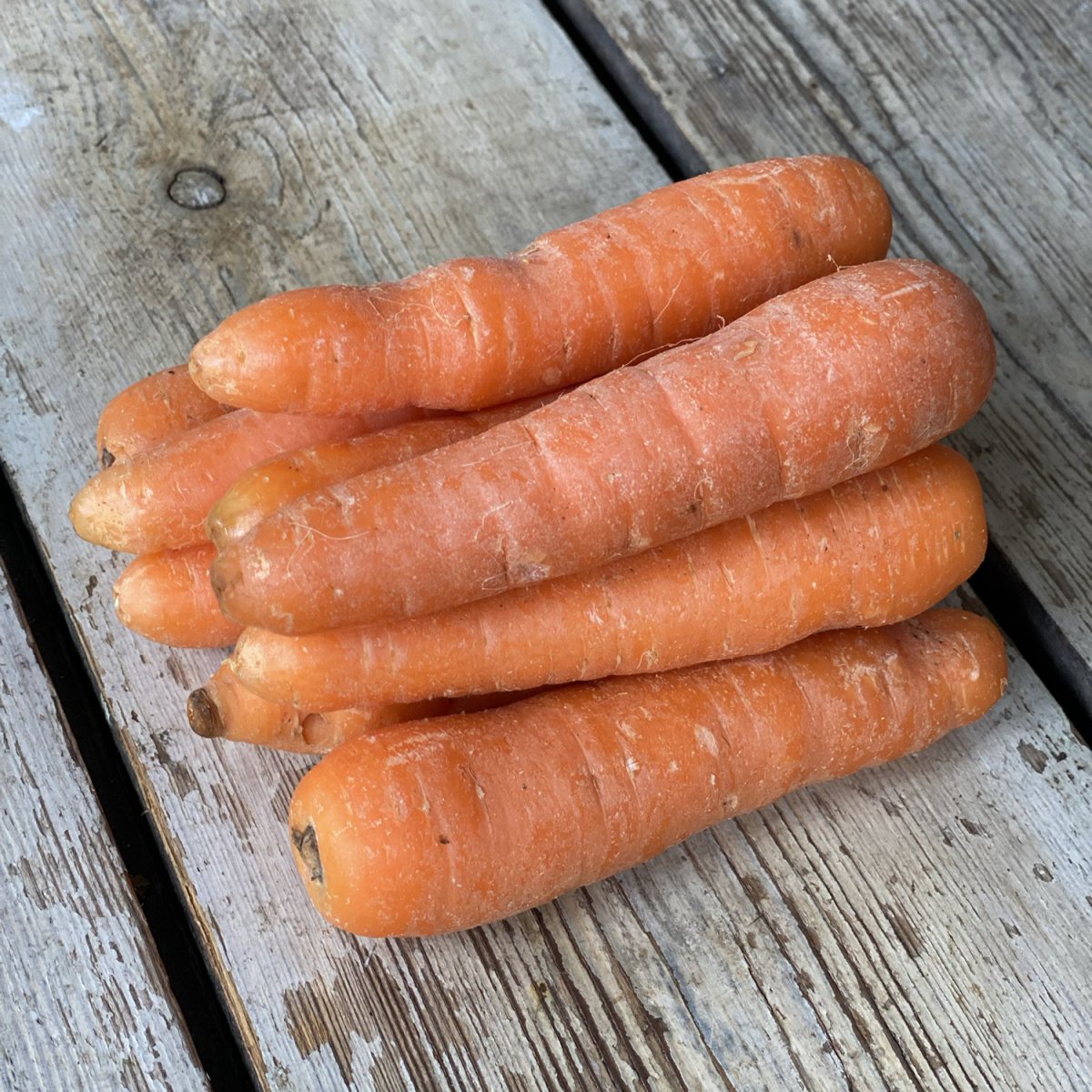 Gulerod store 10 kg UDL - Rodfrugt - Rosengaard