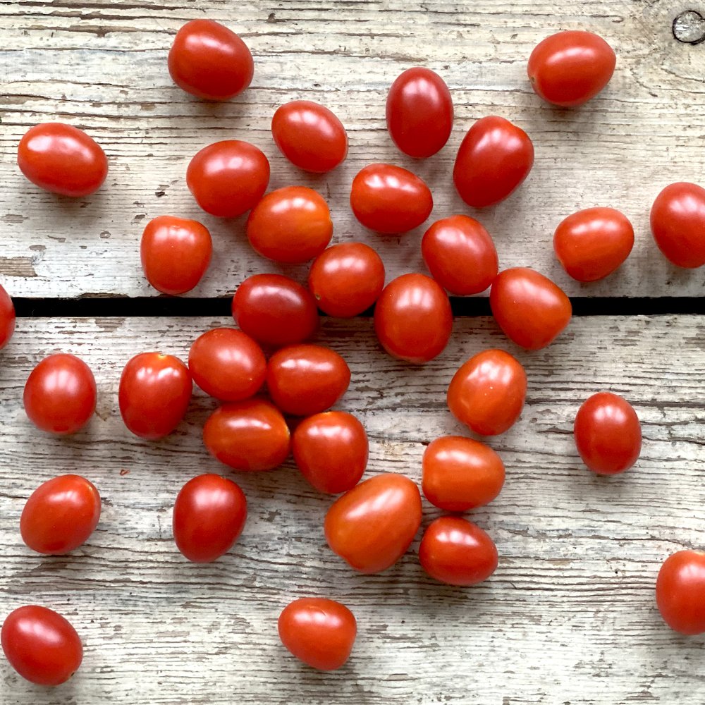 Tomater cherry due 4 kg Udl. - Tomat - Rosengaard