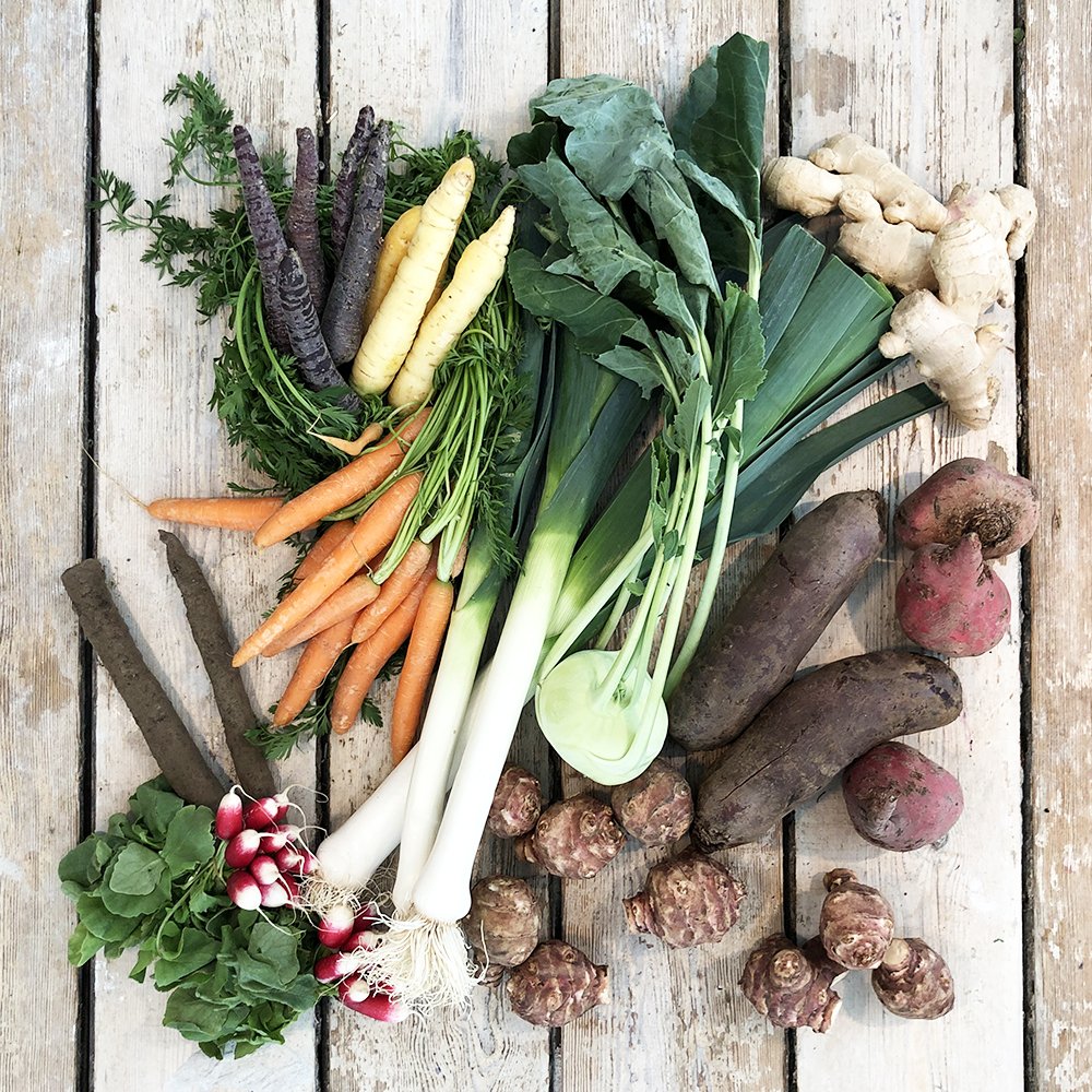 Rodfrugt - Rosengaard